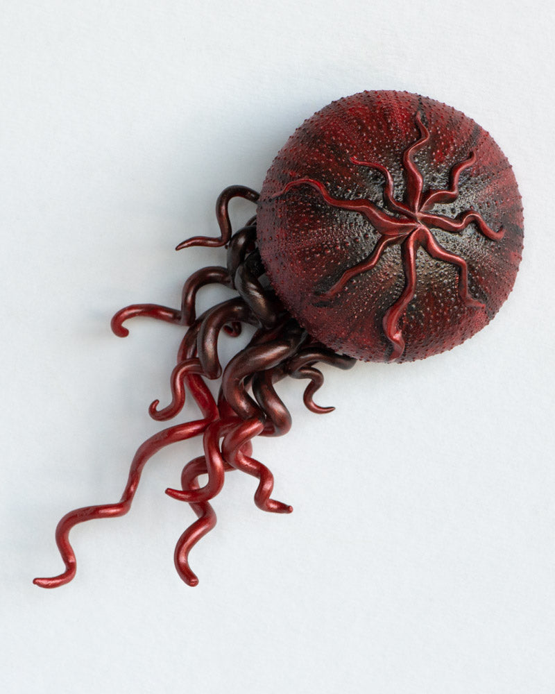 Stacey Ransom - Mixed media sculpture - Medusae - Modern Eden Gallery